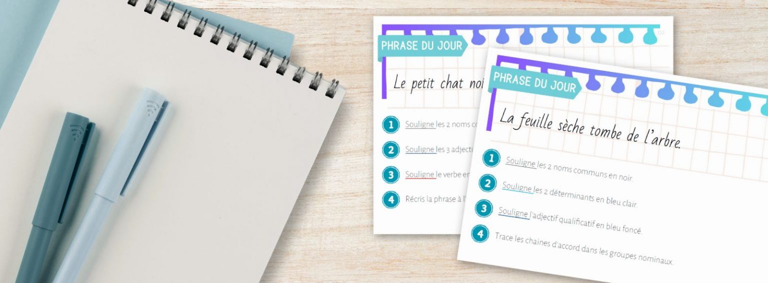 La phrase du jour en CE2 / CM1 - activité ritualisée de grammaire - La ...